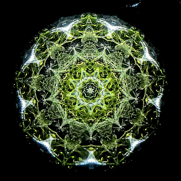 松田隆一「ヴァリアスカラー」（MR6012）2ミラー・9ポイント・オイルタイプ 万華鏡専門店 鎌倉ヴィヴァン（公式万華鏡通販サイト）